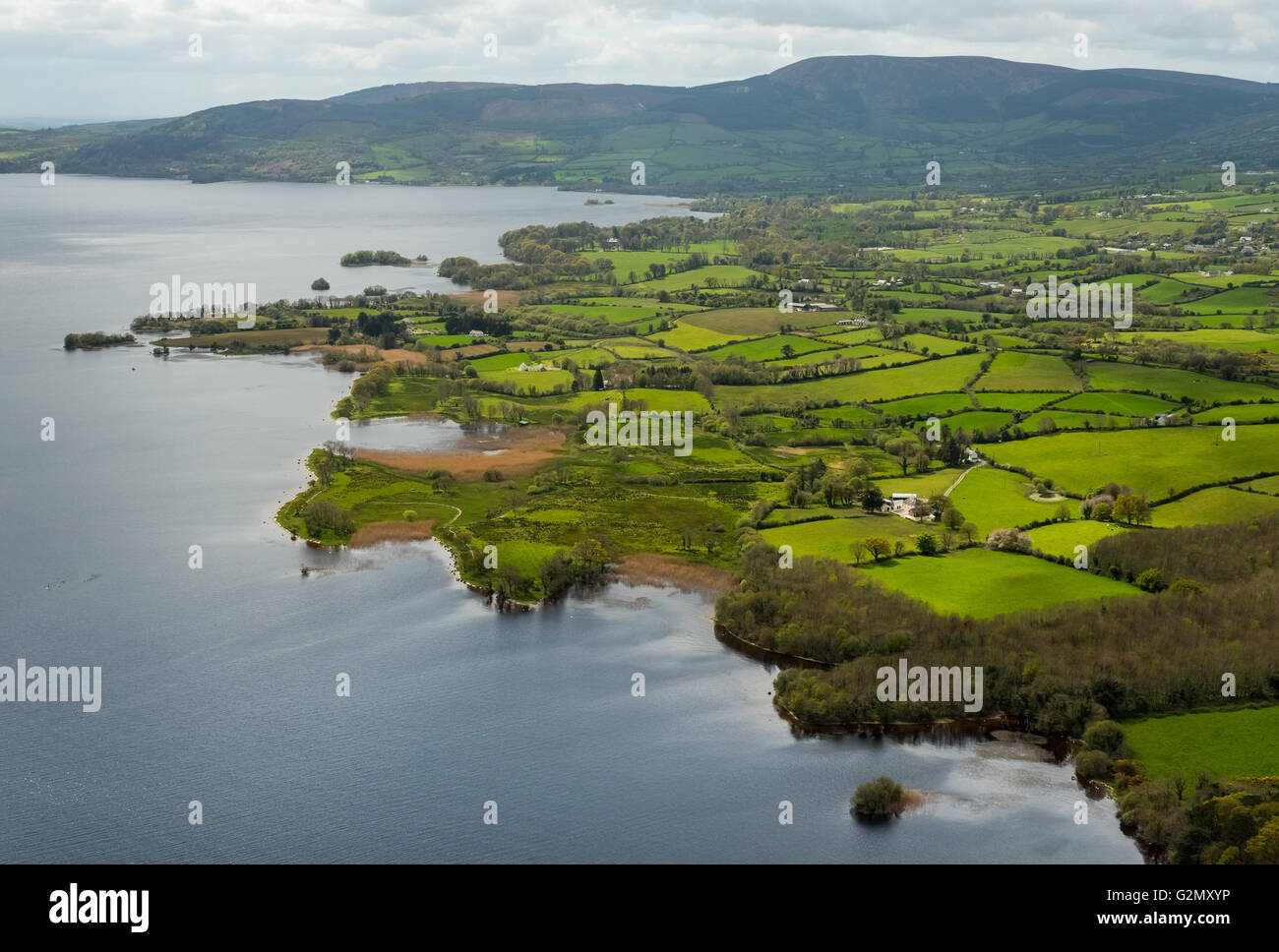 Headland peninsula Ogonnelloe, Lakelands, Lake Derg, Lough Derg on the ...