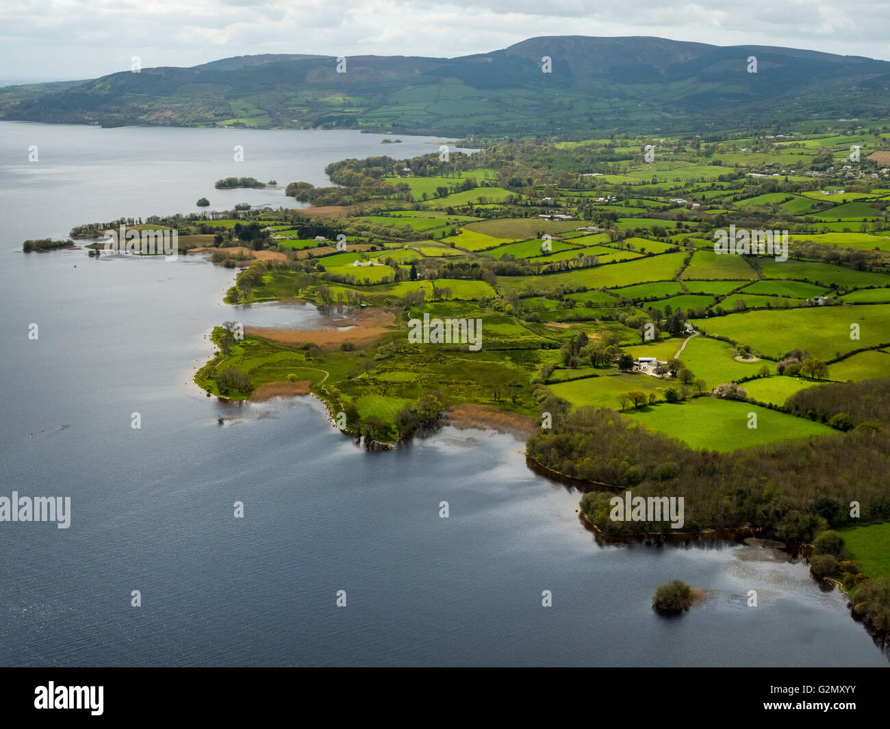 Headland peninsula Ogonnelloe, Lakelands, Lake Derg, Lough Derg on the ...