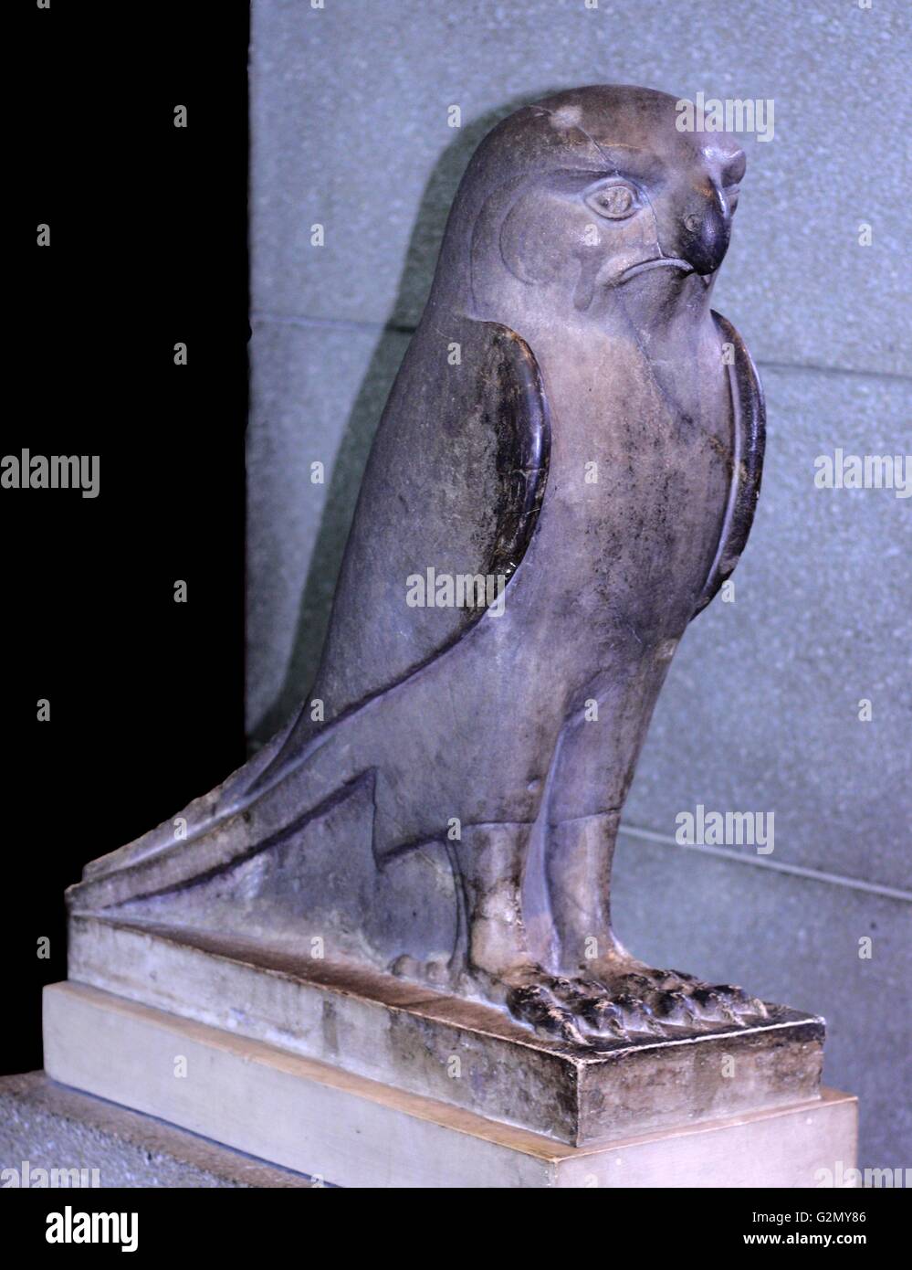 Horus falcon hi-res stock photography and images - Alamy