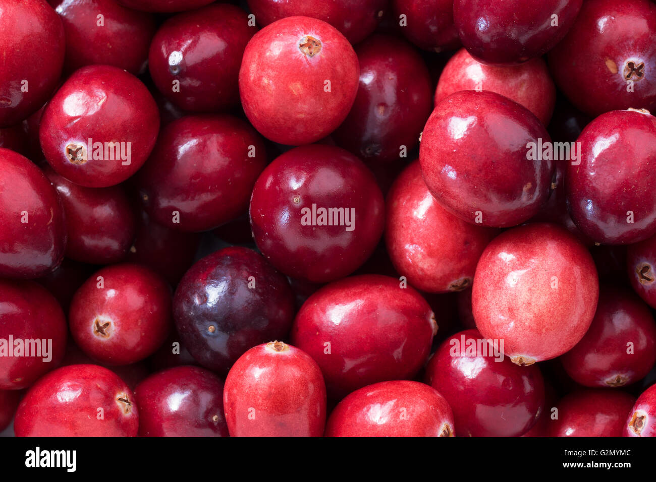 Close up, top view of fresh cranberries Stock Photo - Alamy