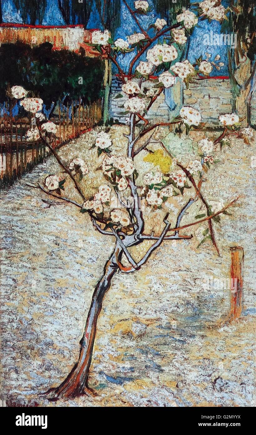 Vincent van gogh flowering pear hi-res stock photography and images - Alamy