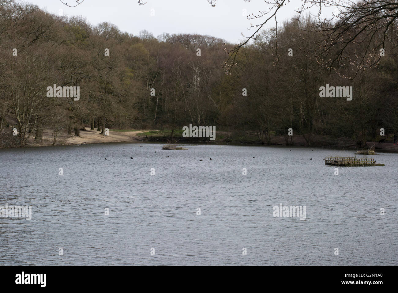 Wimbledon common pond hi-res stock photography and images - Alamy