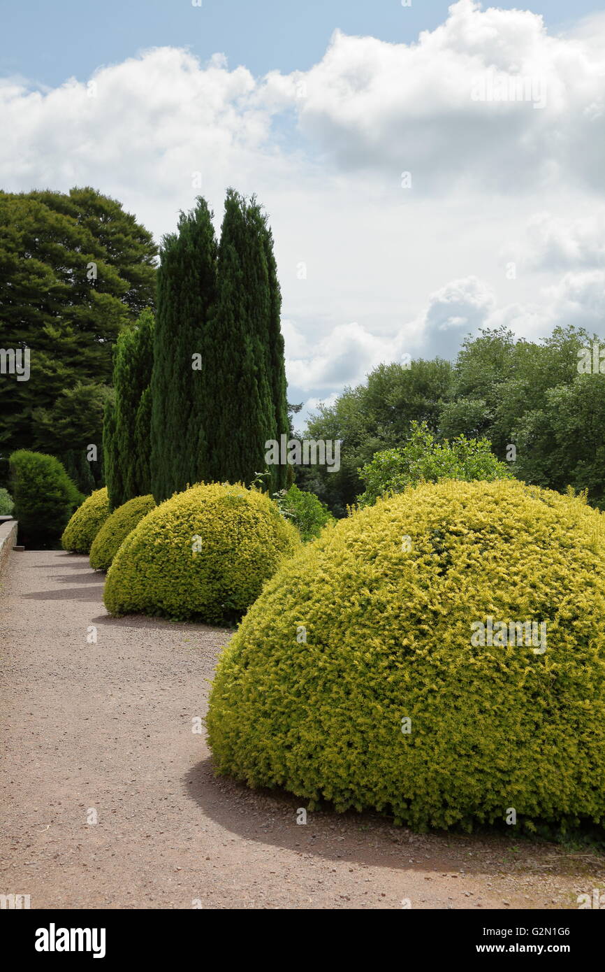 Well kept hedge forms in gardens at St Fagans Castle Welsh National ...