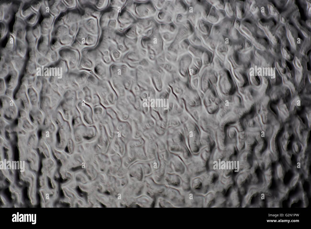 Glass texture back illuminated, macro of abstract glass texture Stock ...