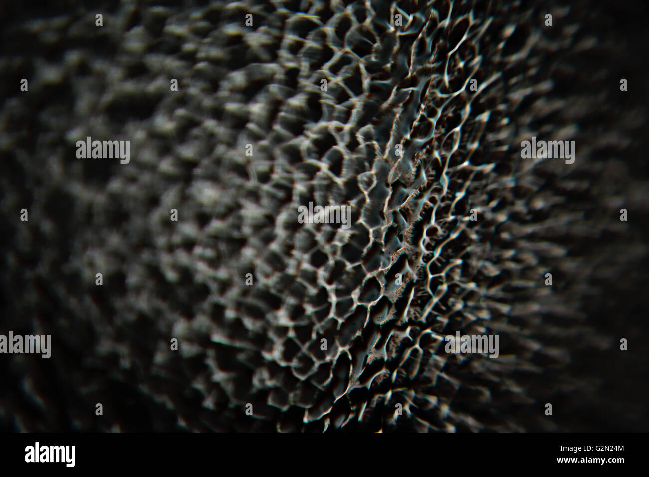 Glass texture back illuminated Stock Photo - Alamy