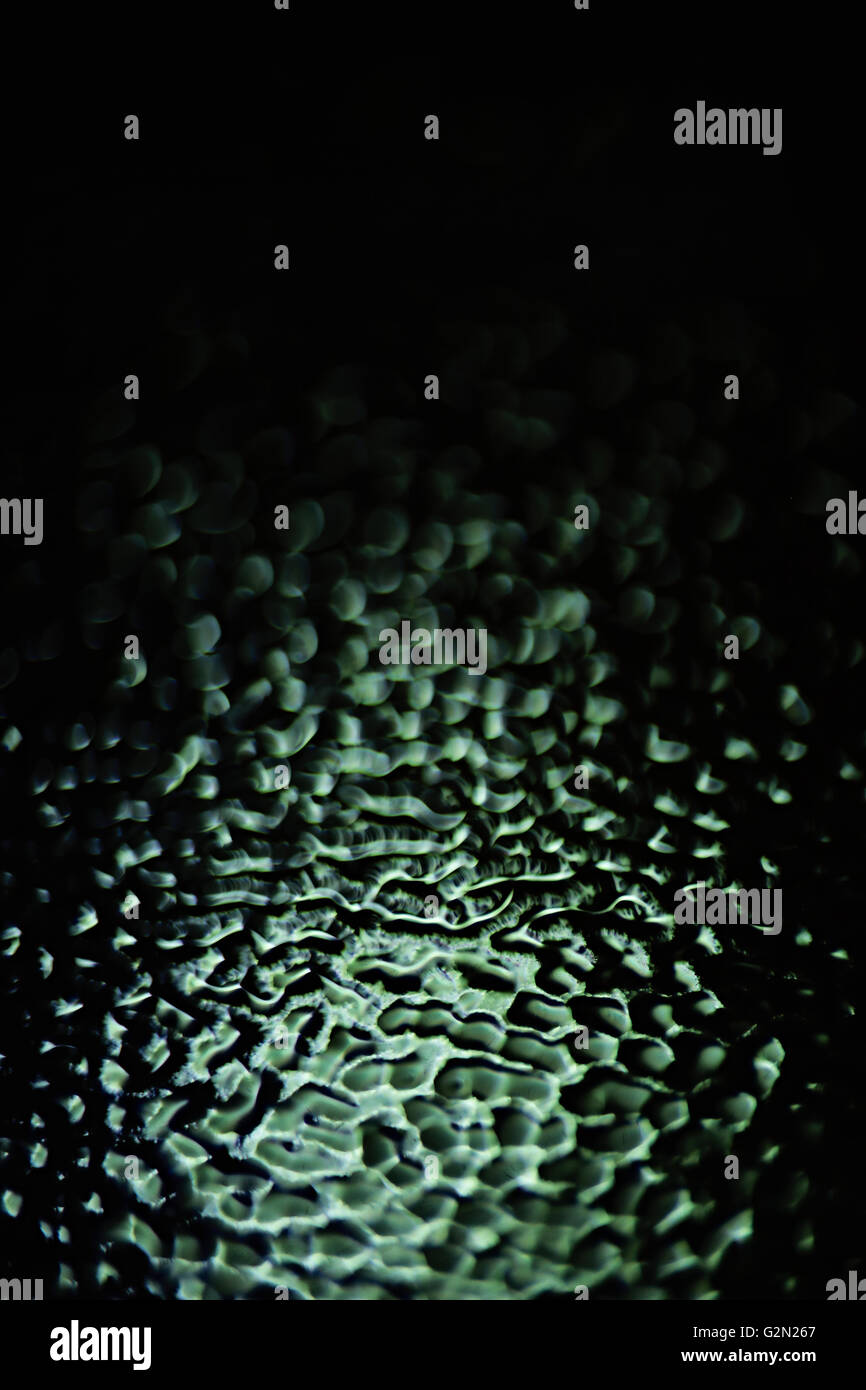 Glass texture back illuminated, macro of abstract glass texture Stock ...