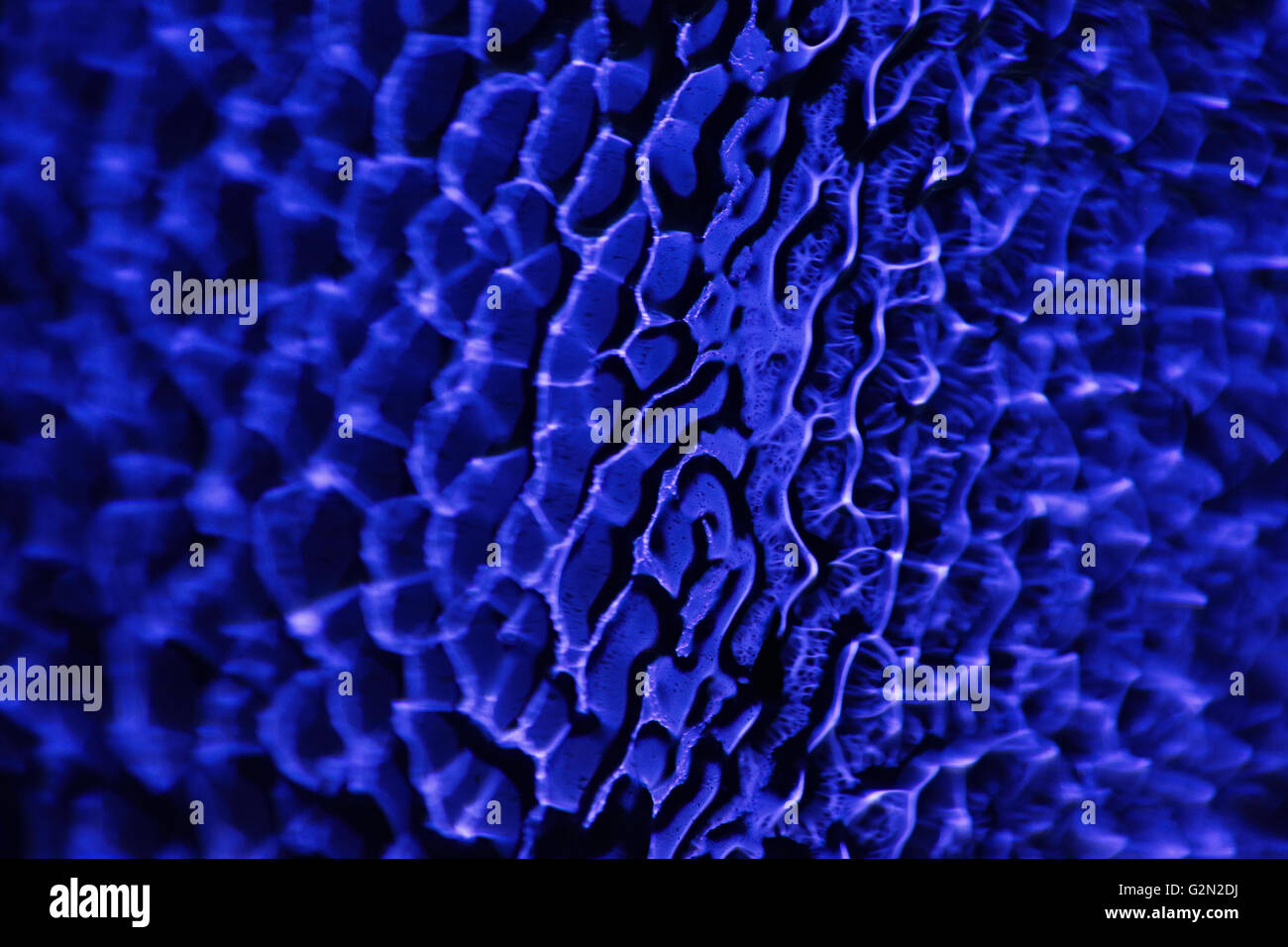 stained glass surface Stock Photo - Alamy