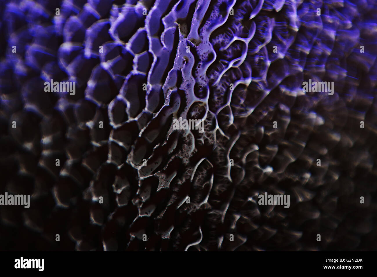 stained glass surface Stock Photo - Alamy