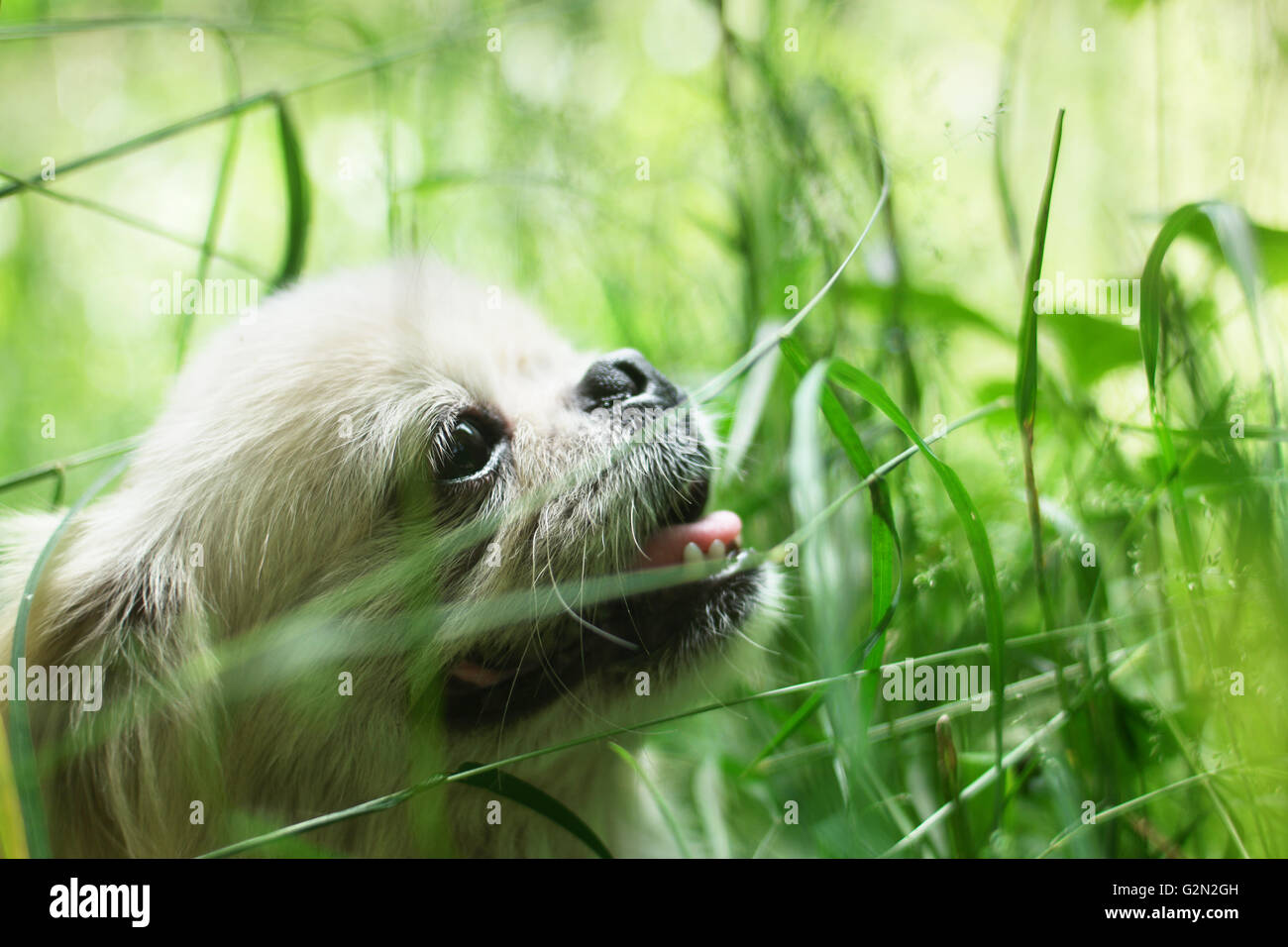Csc background hi-res stock photography and images - Alamy