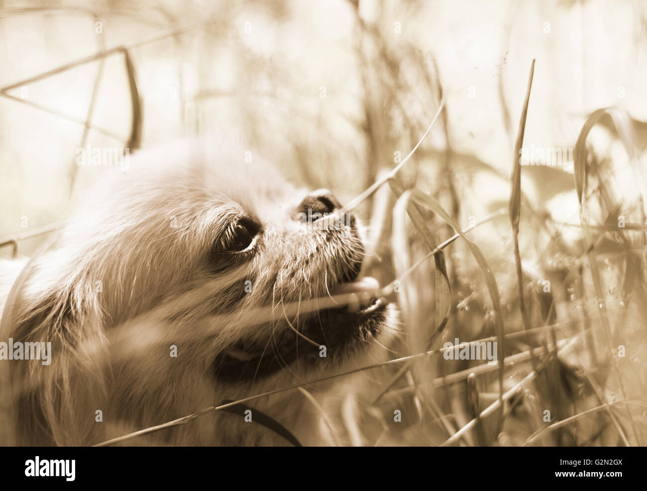 Csc background hi-res stock photography and images - Alamy