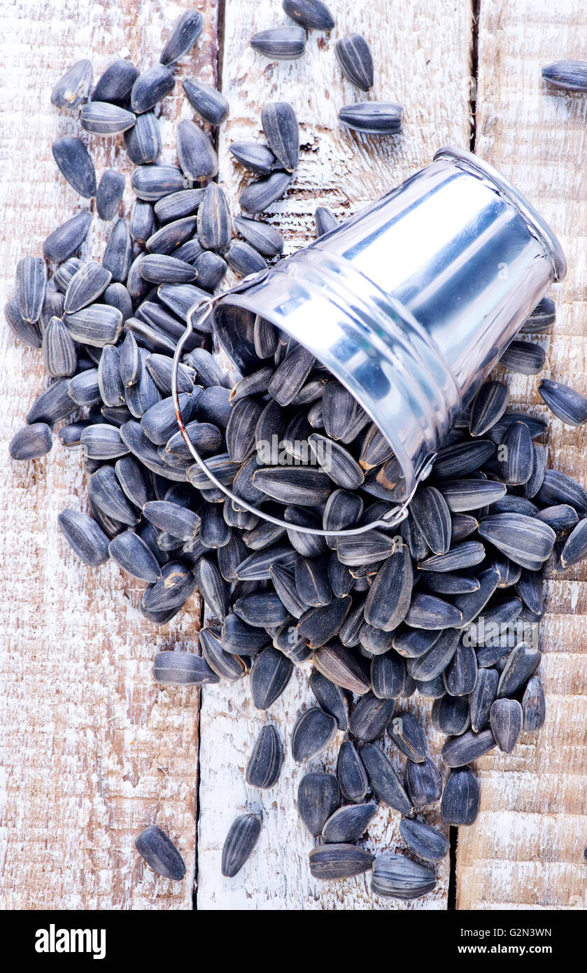 Scale plant seed group hi-res stock photography and images - Alamy