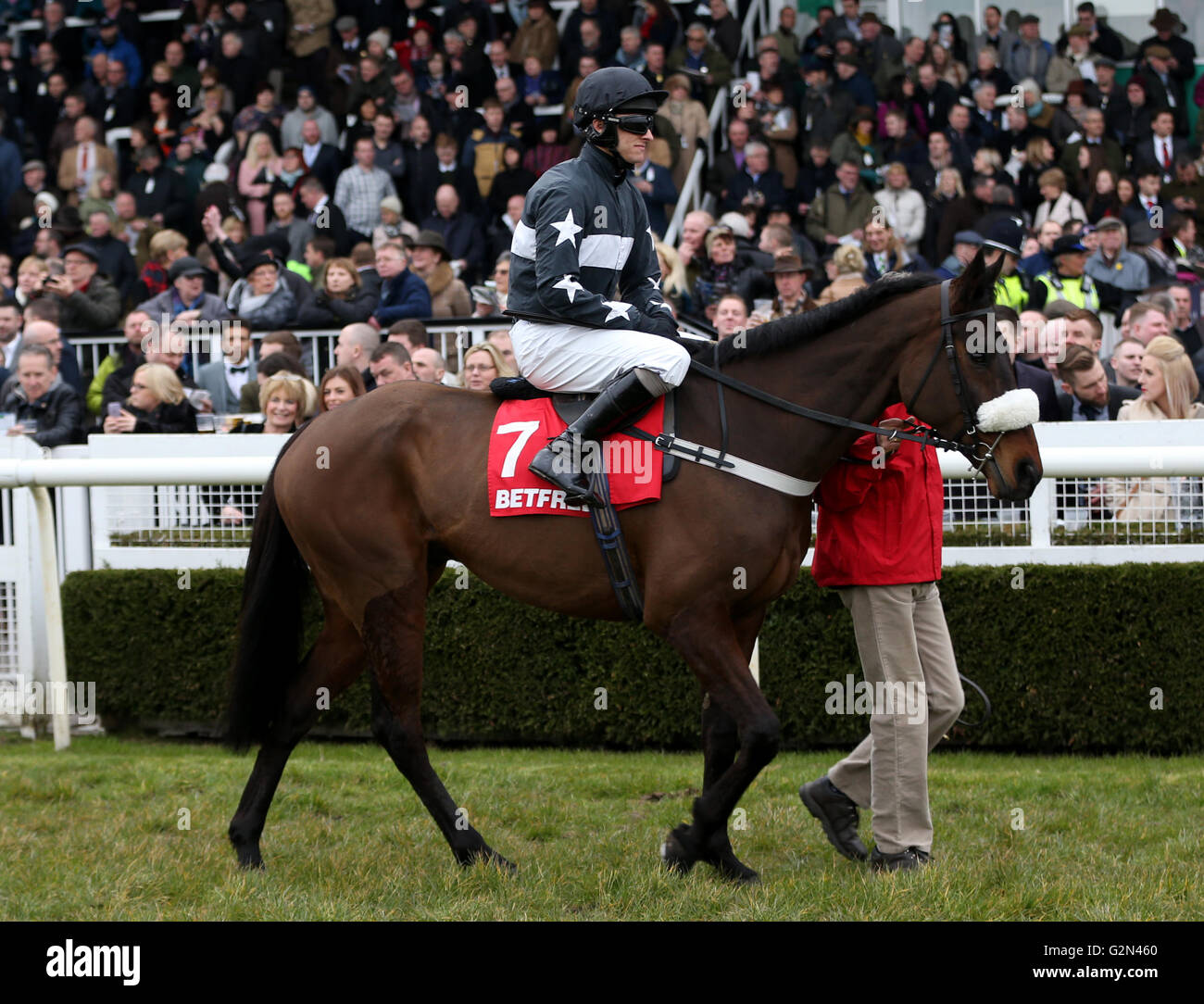Firebird Flyer ridden by Adam Wedge Stock Photo - Alamy