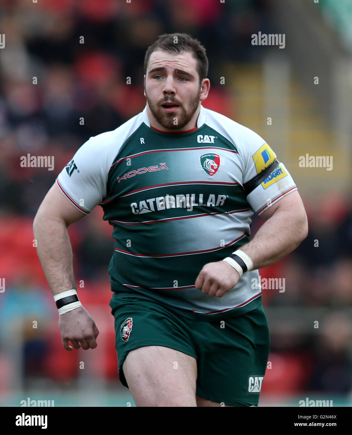 Balmain tigers hi-res stock photography and images - Alamy