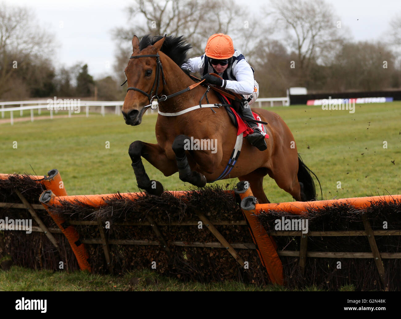 Percus hi-res stock photography and images - Alamy