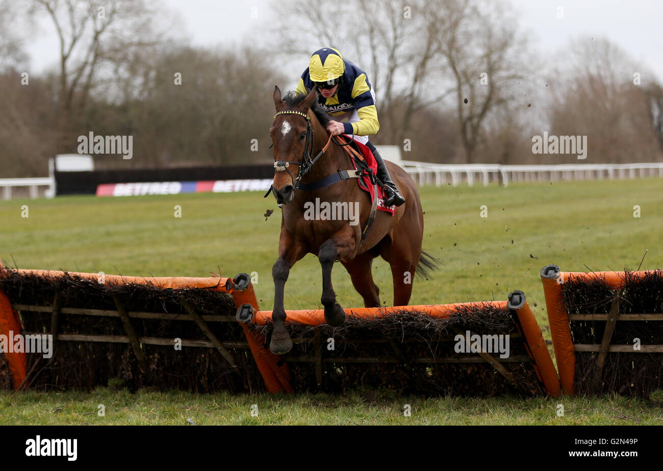 Masterplan ridden by Graham Watters Stock Photo - Alamy