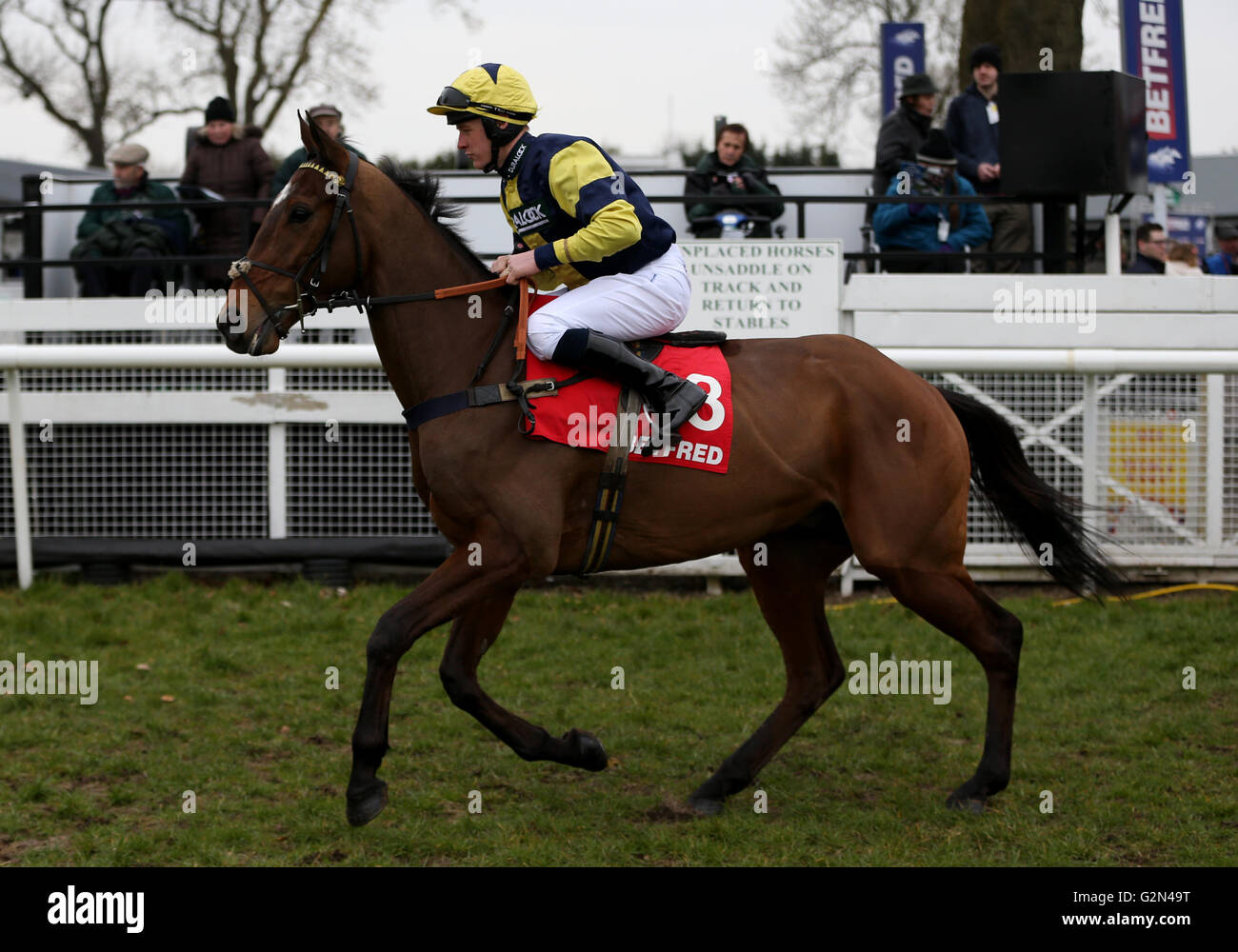 Masterplan ridden by Graham Watters Stock Photo - Alamy