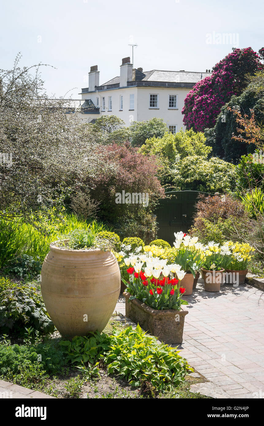 Gardens of heligan spring hi-res stock photography and images - Alamy