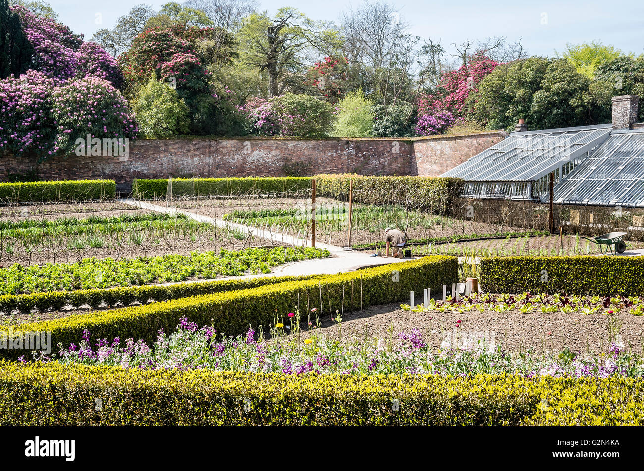 Heligan house lost gardens heligan hi-res stock photography and images ...