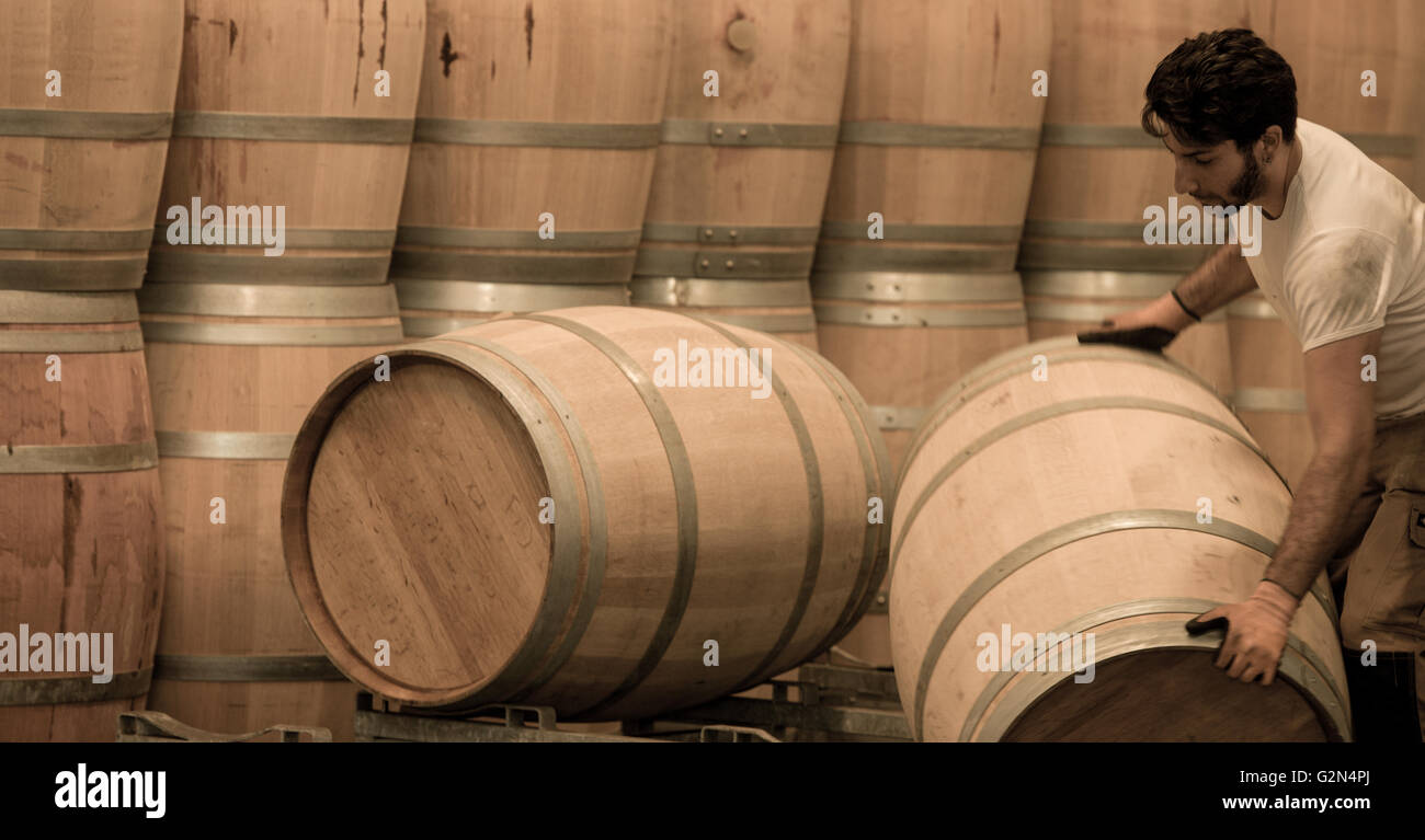 Winemaker barrels moving up or down by rolling on ground Stock Photo ...