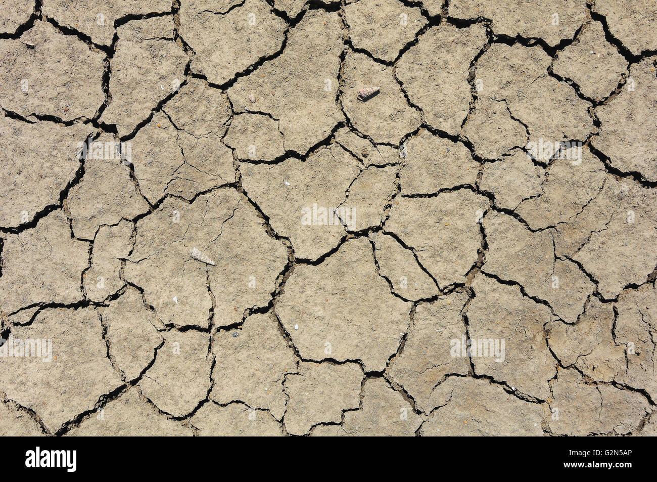 Ground parched by drought in the country Stock Photo - Alamy