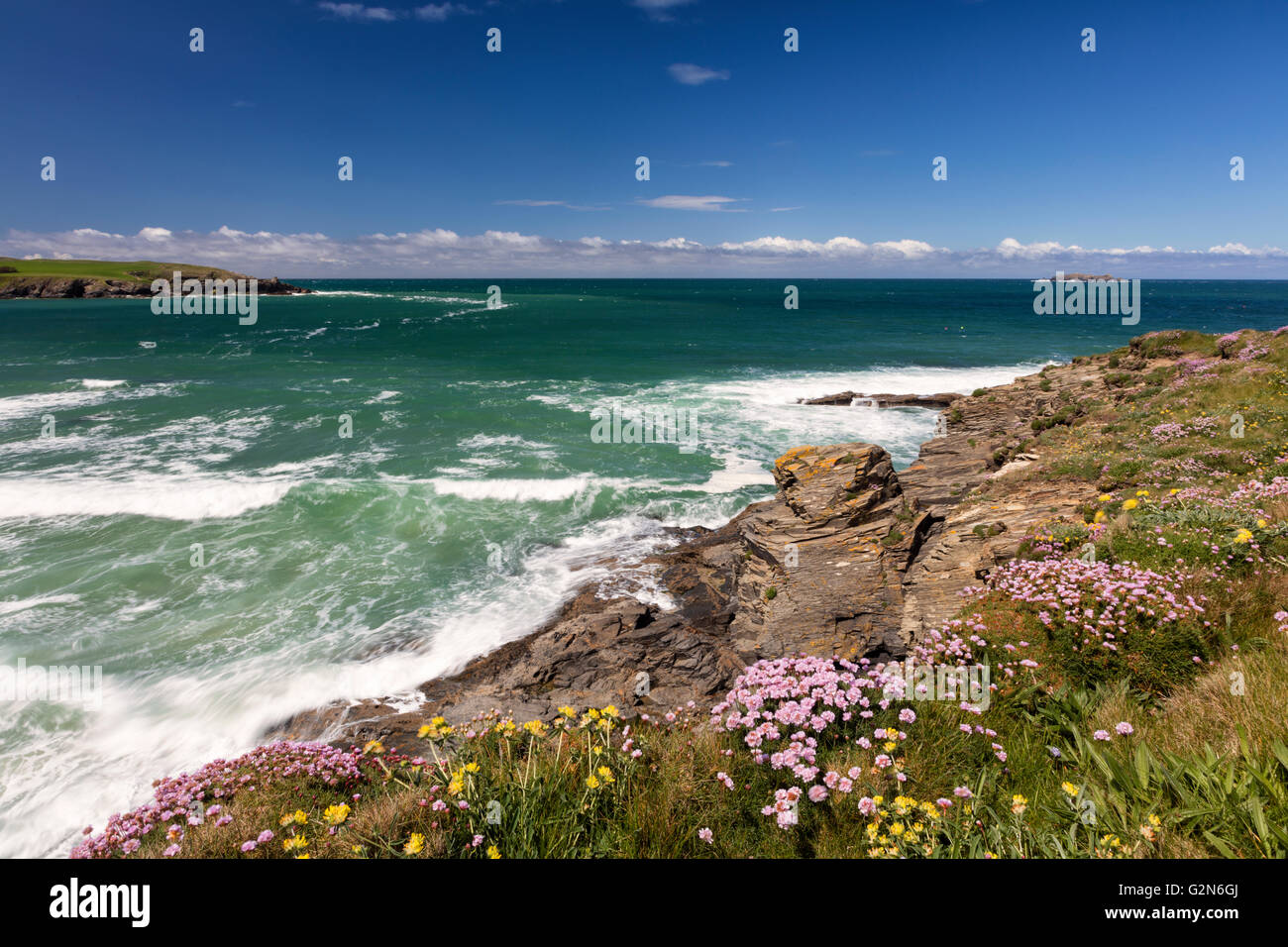 Cornish wildflowers hi-res stock photography and images - Alamy