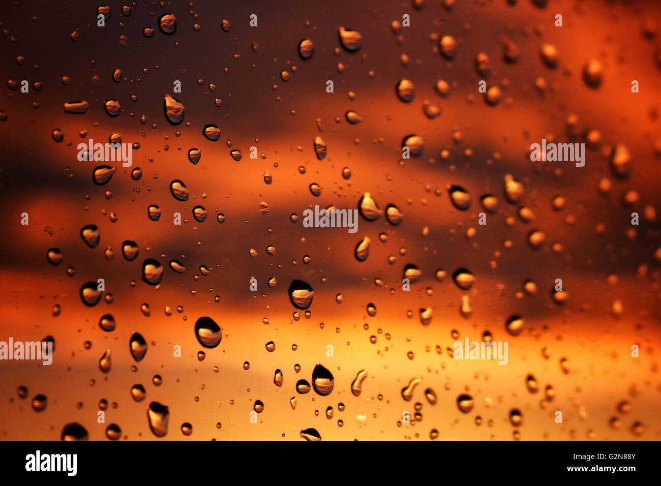 Raindrop refraction hi-res stock photography and images - Alamy