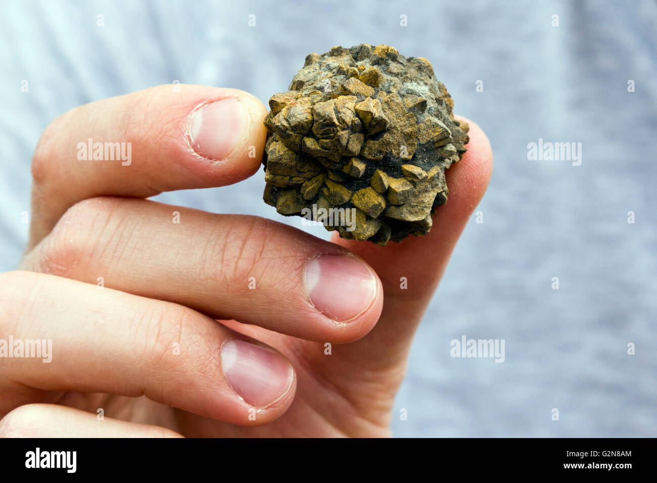 Geology fieldwork hi-res stock photography and images - Alamy