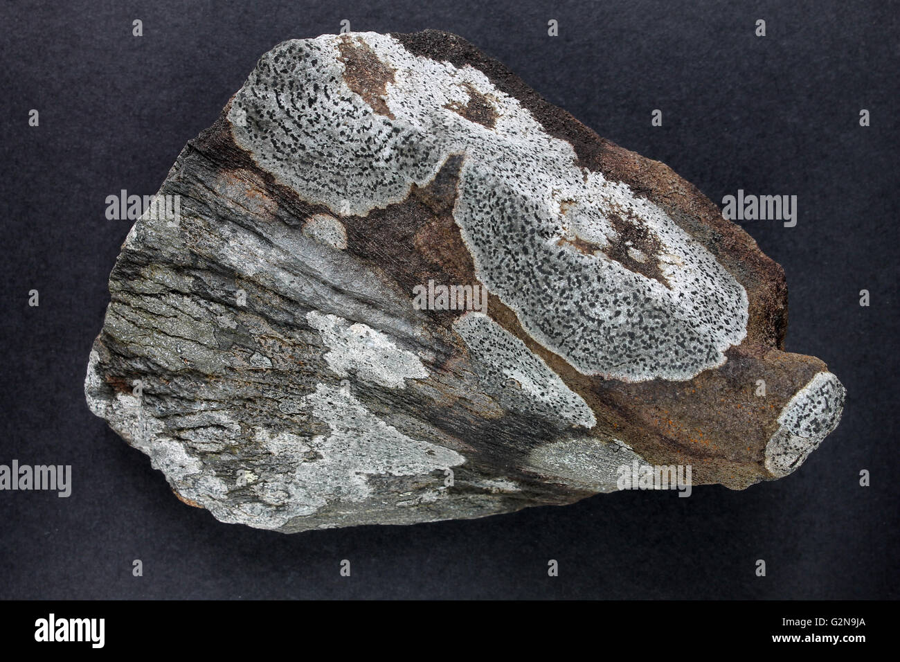 Rock and patterns Stock Photo - Alamy