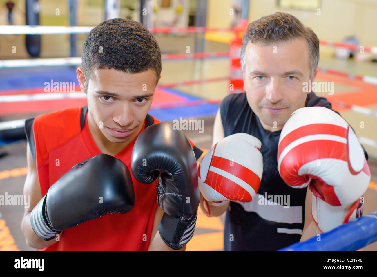 Boxer fan boxing boxers hi-res stock photography and images - Alamy