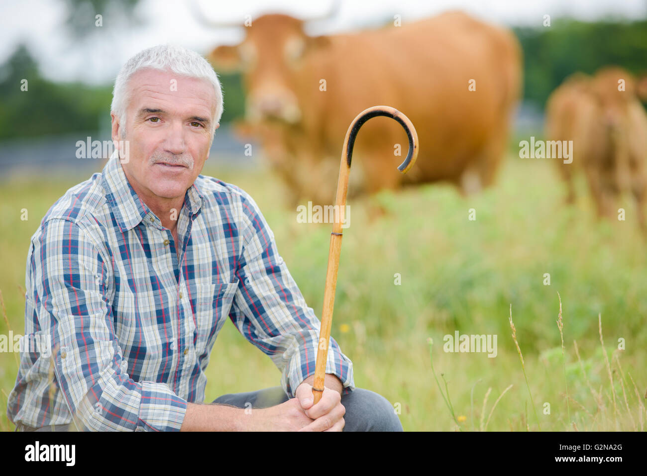 Herdsman in field Stock Photo - Alamy