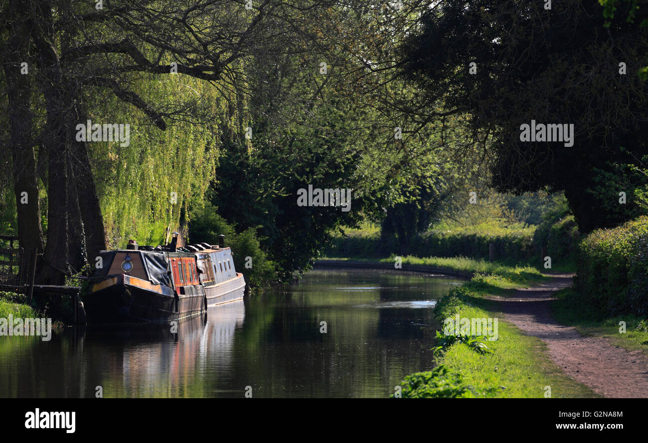 Cookley hi-res stock photography and images - Alamy
