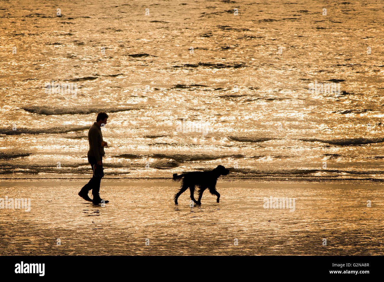 Man walking into sunset with dog hi-res stock photography and images ...