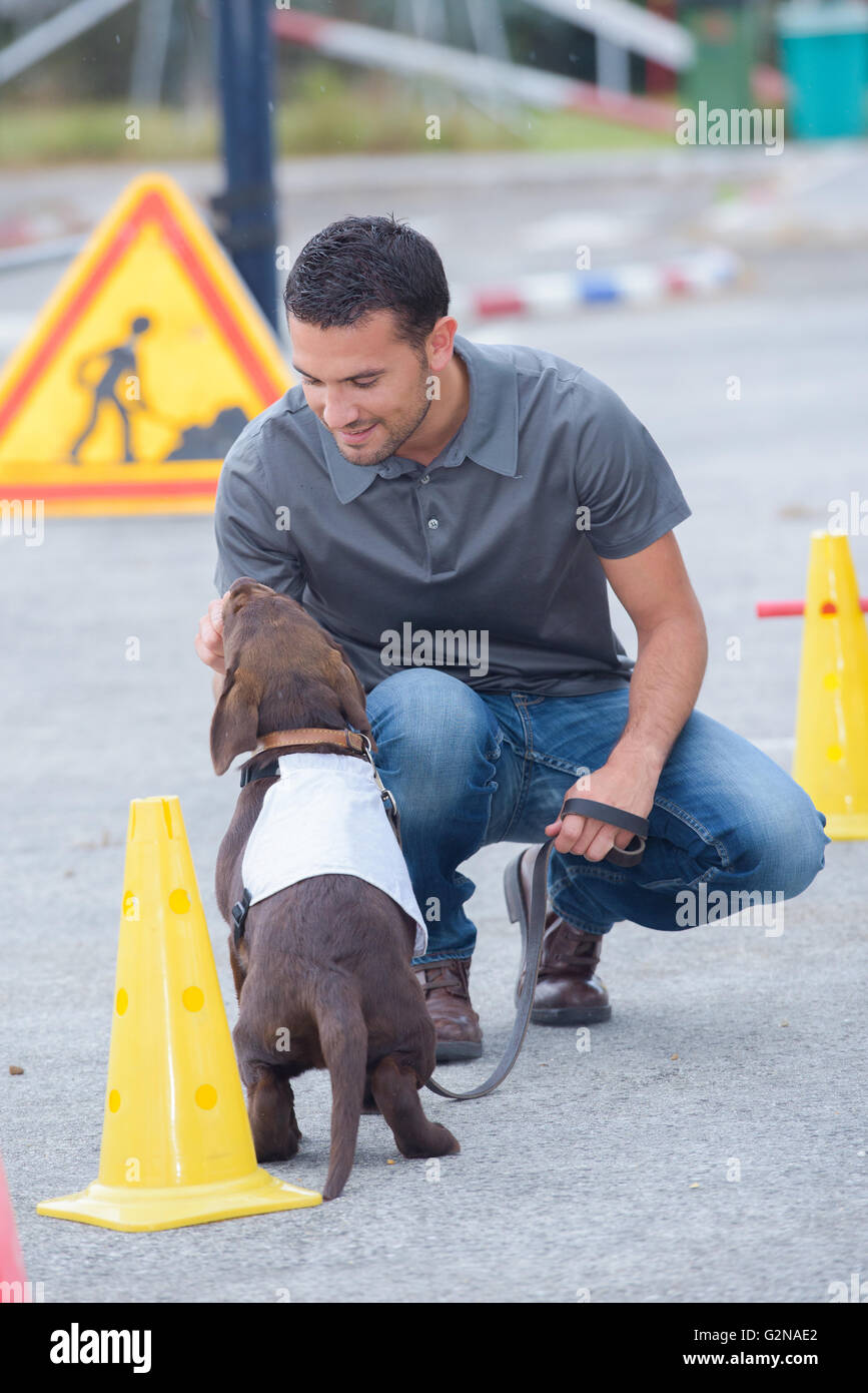 Search and rescue dog trainer hi-res stock photography and images - Alamy