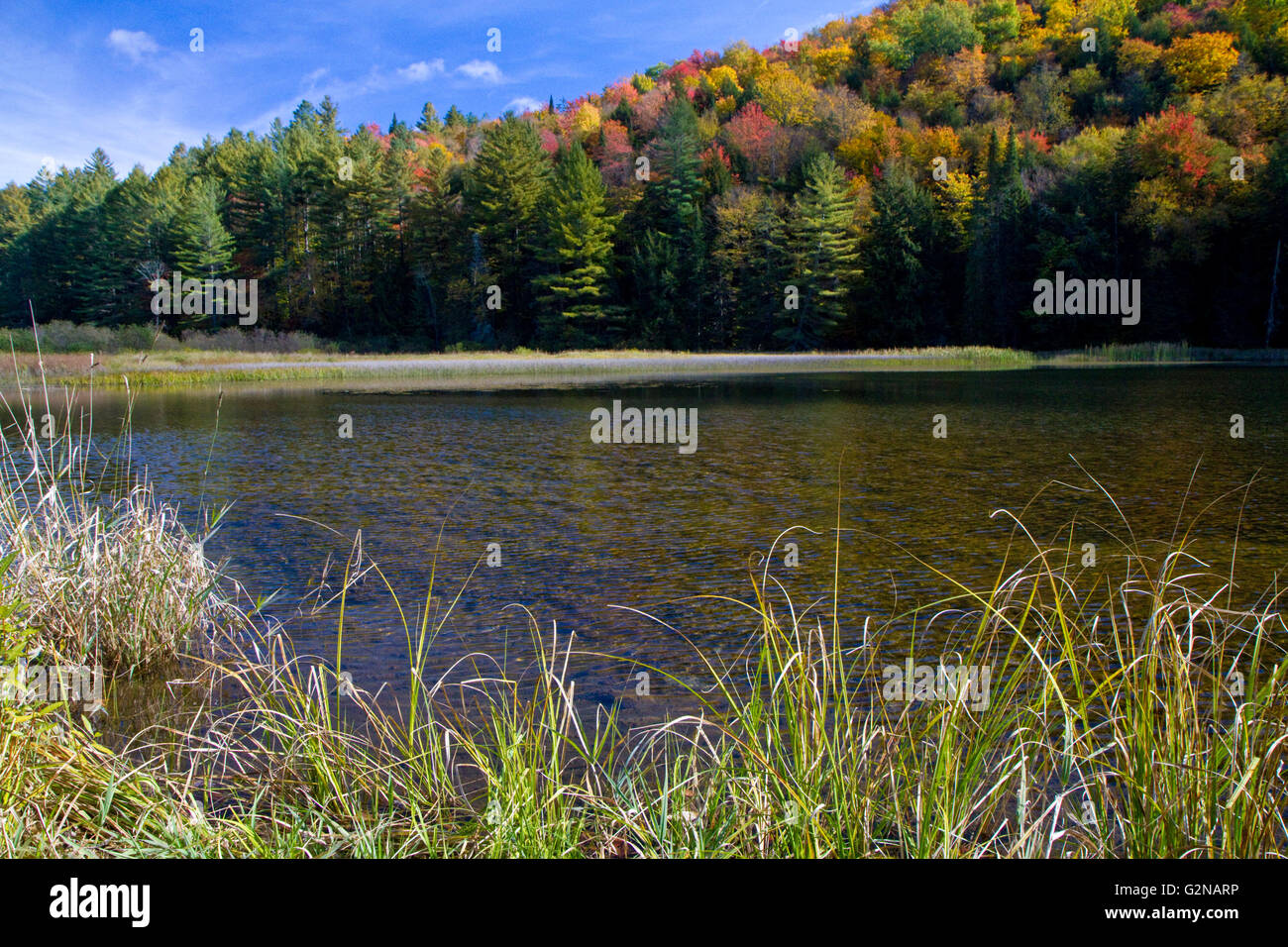 Fall foliage at Lake Elligo in Orleans County, Vermont, USA Stock Photo ...