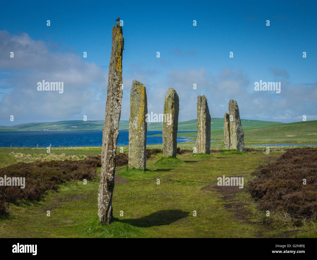 The Ring of Brodgar stone circle, Orkney Stock Photo - Alamy
