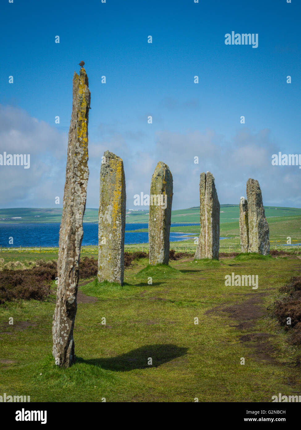 The Ring of Brodgar stone circle, Orkney Stock Photo - Alamy
