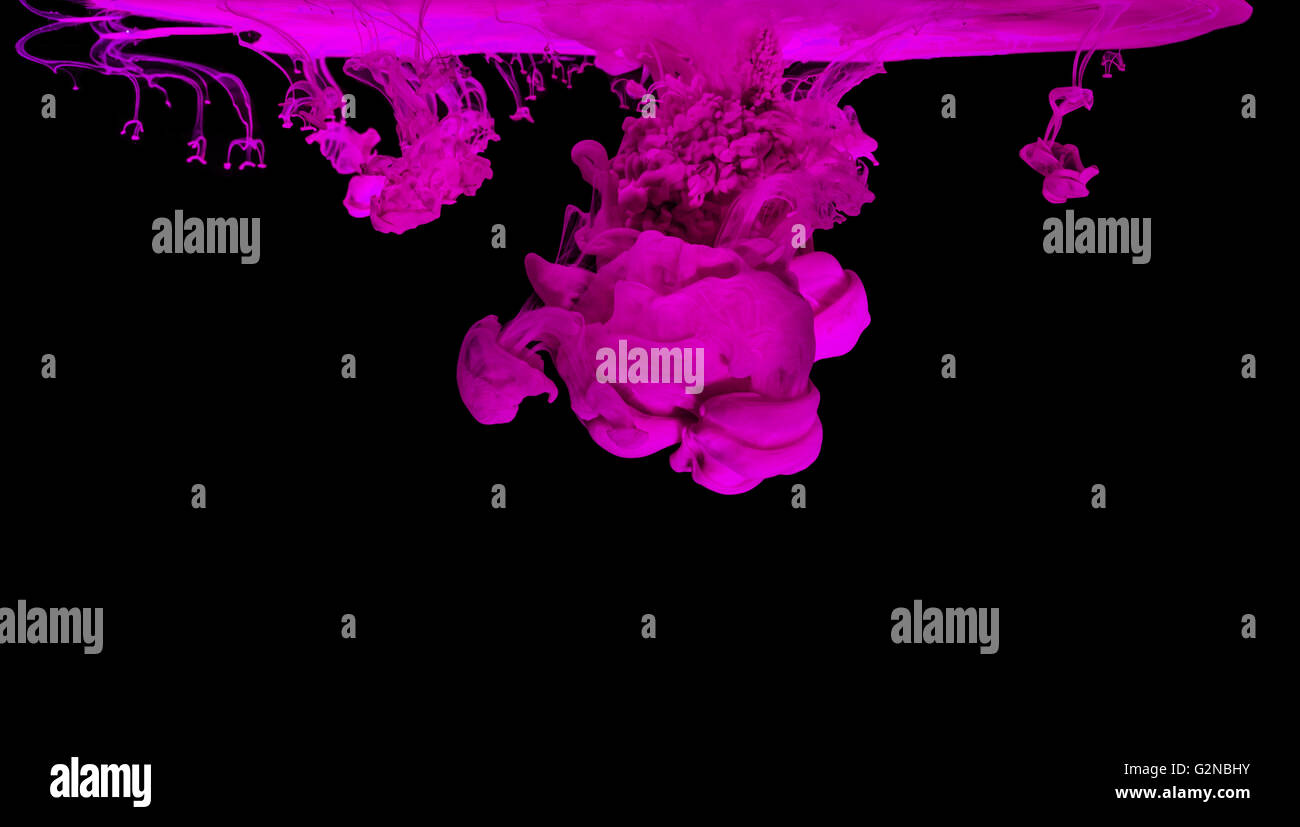 Pink ink in water creating abstract shape, isolated on black background ...
