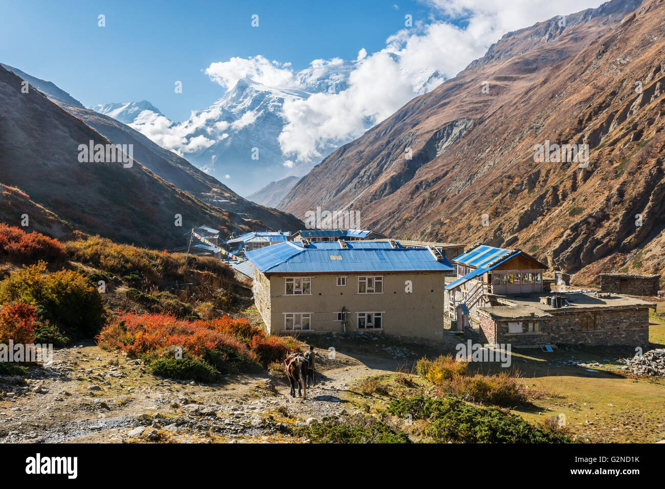 High altitude village of Yak Kharka Stock Photo - Alamy