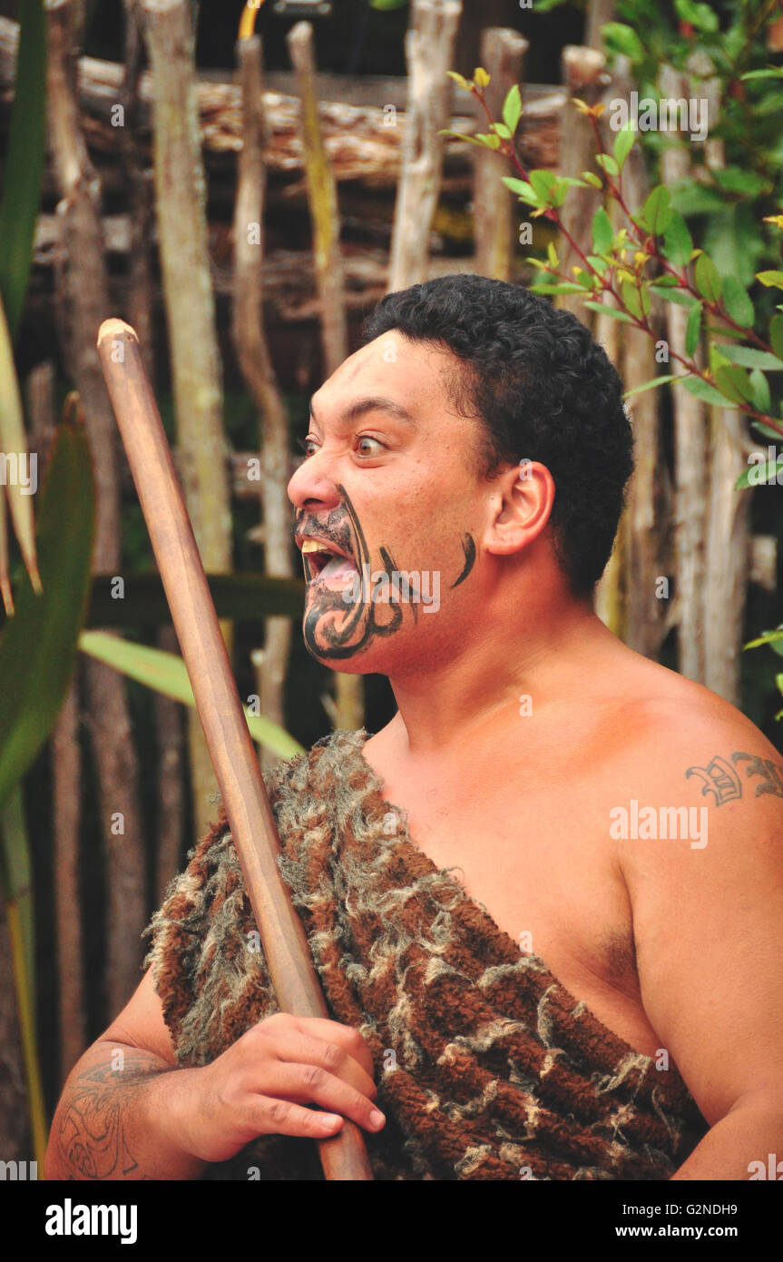 Tamaki maori cultural village in New Zealand Stock Photo - Alamy