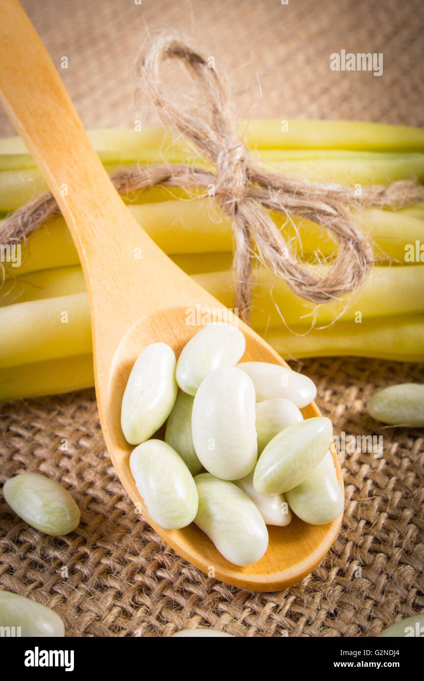 Seeds of beans on wooden spoon and stack of beans tied with string ...