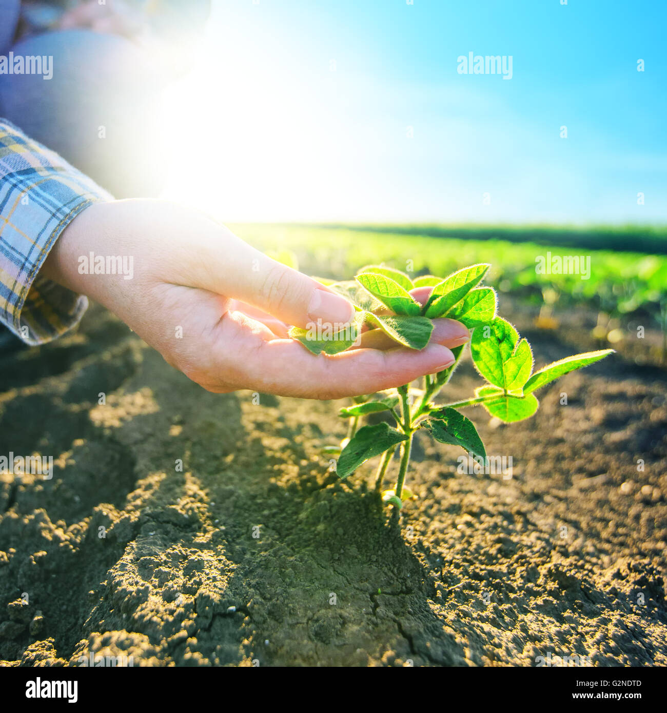 Female farmers hi-res stock photography and images - Alamy