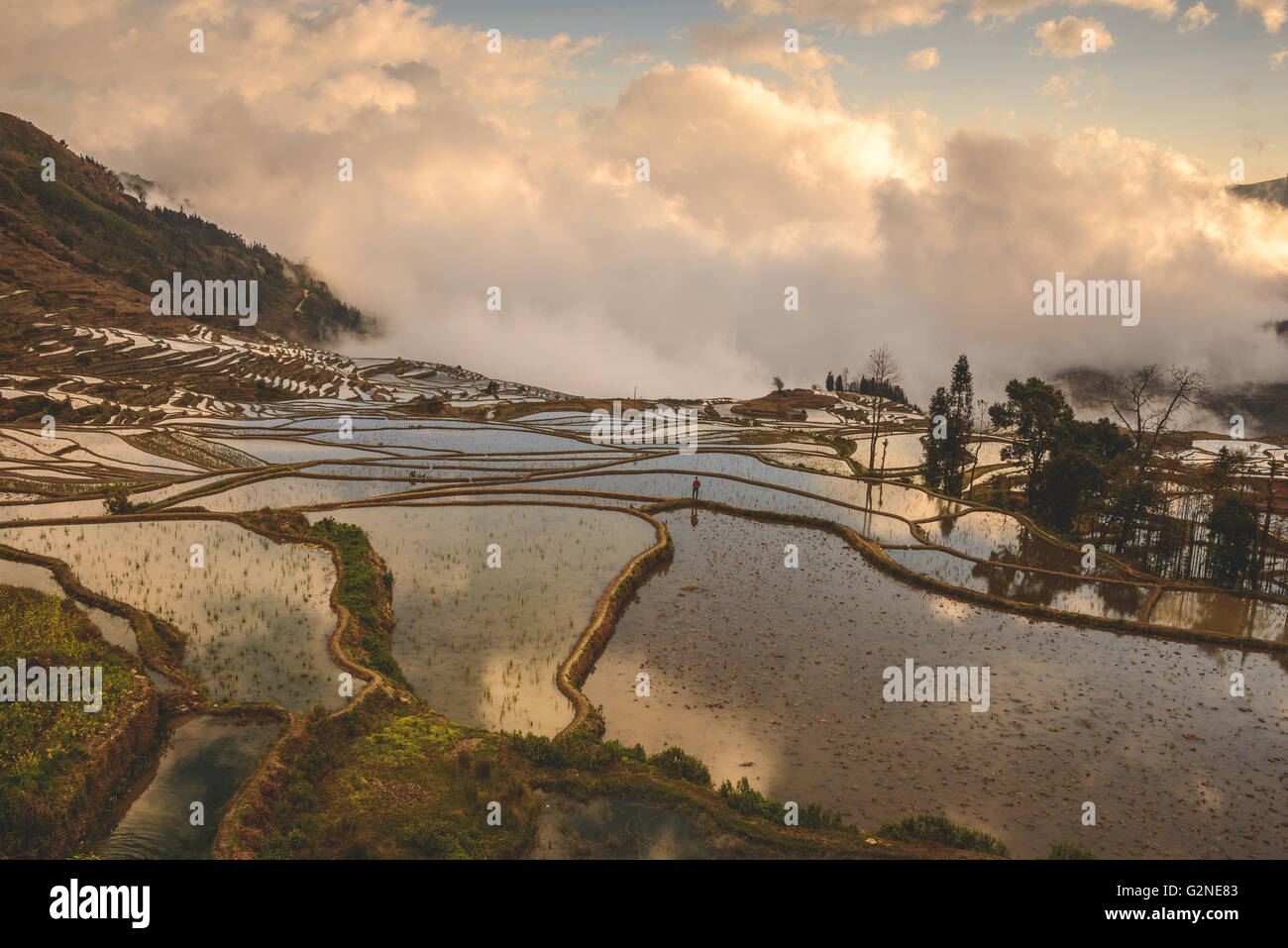 Rice fields above the clouds in southern China Stock Photo - Alamy