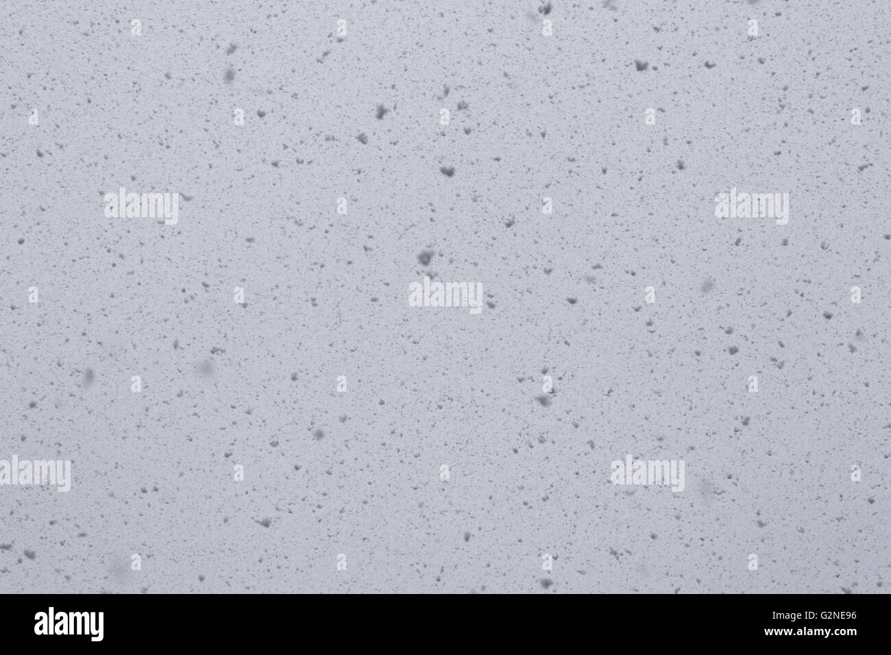 the flying snowflakes against the rainy gray winter sky Stock Photo - Alamy