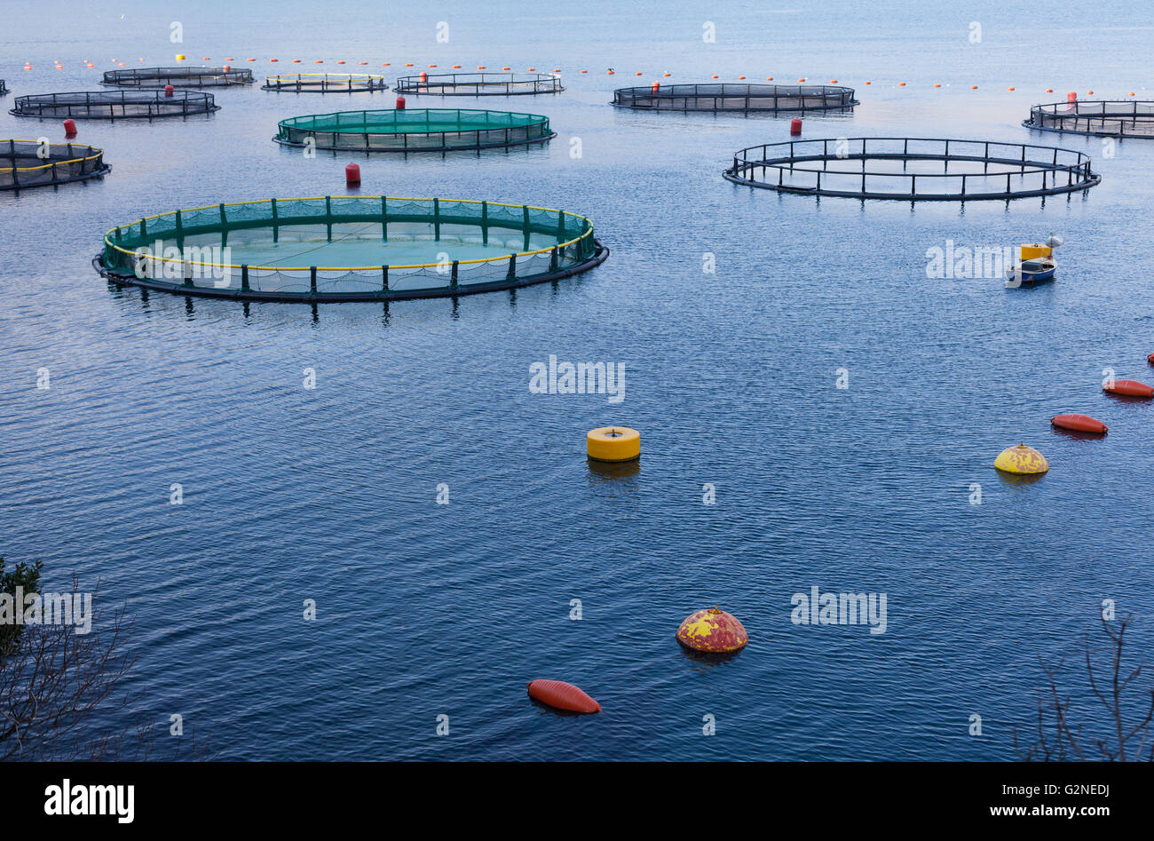 Fish trap bay hi-res stock photography and images - Alamy