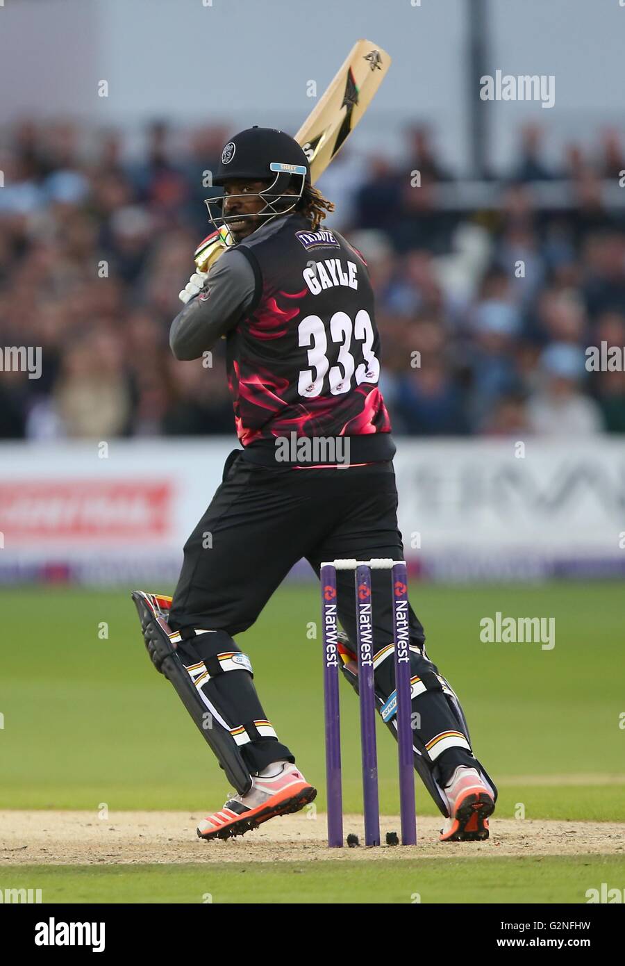 Chris Gayle Wallpaper Free Download