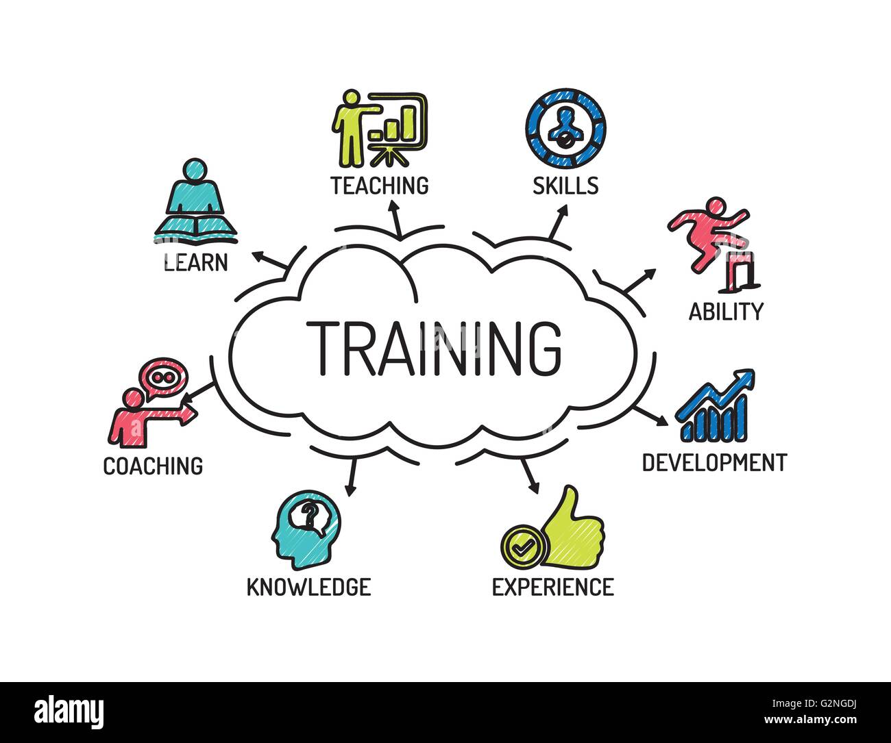 Training Chart With Keywords And Icons Sketch Stock Vector Image And Art Alamy