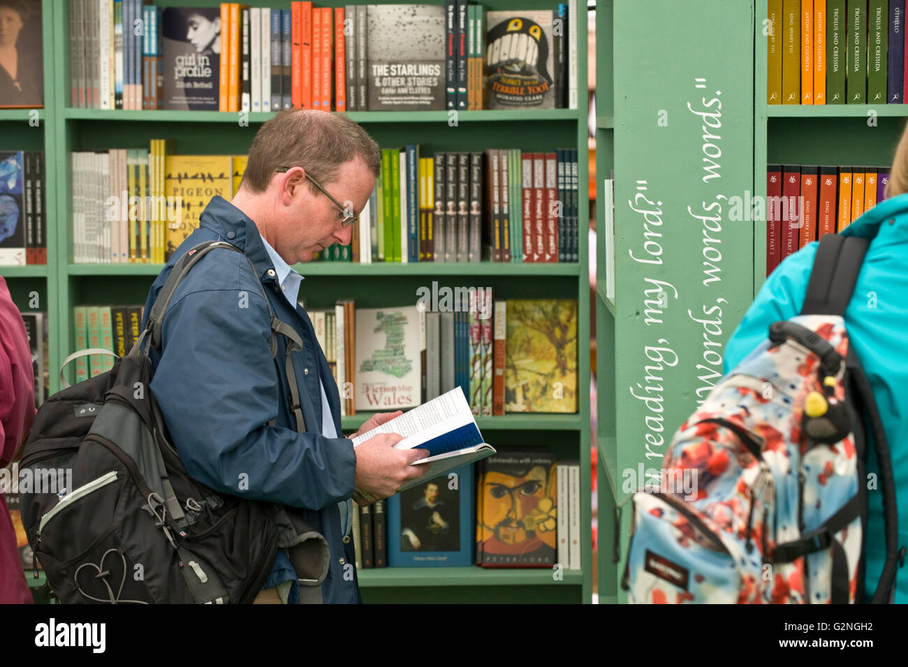 Man browsing in bookshop at Hay Festival 2016 Stock Photo - Alamy