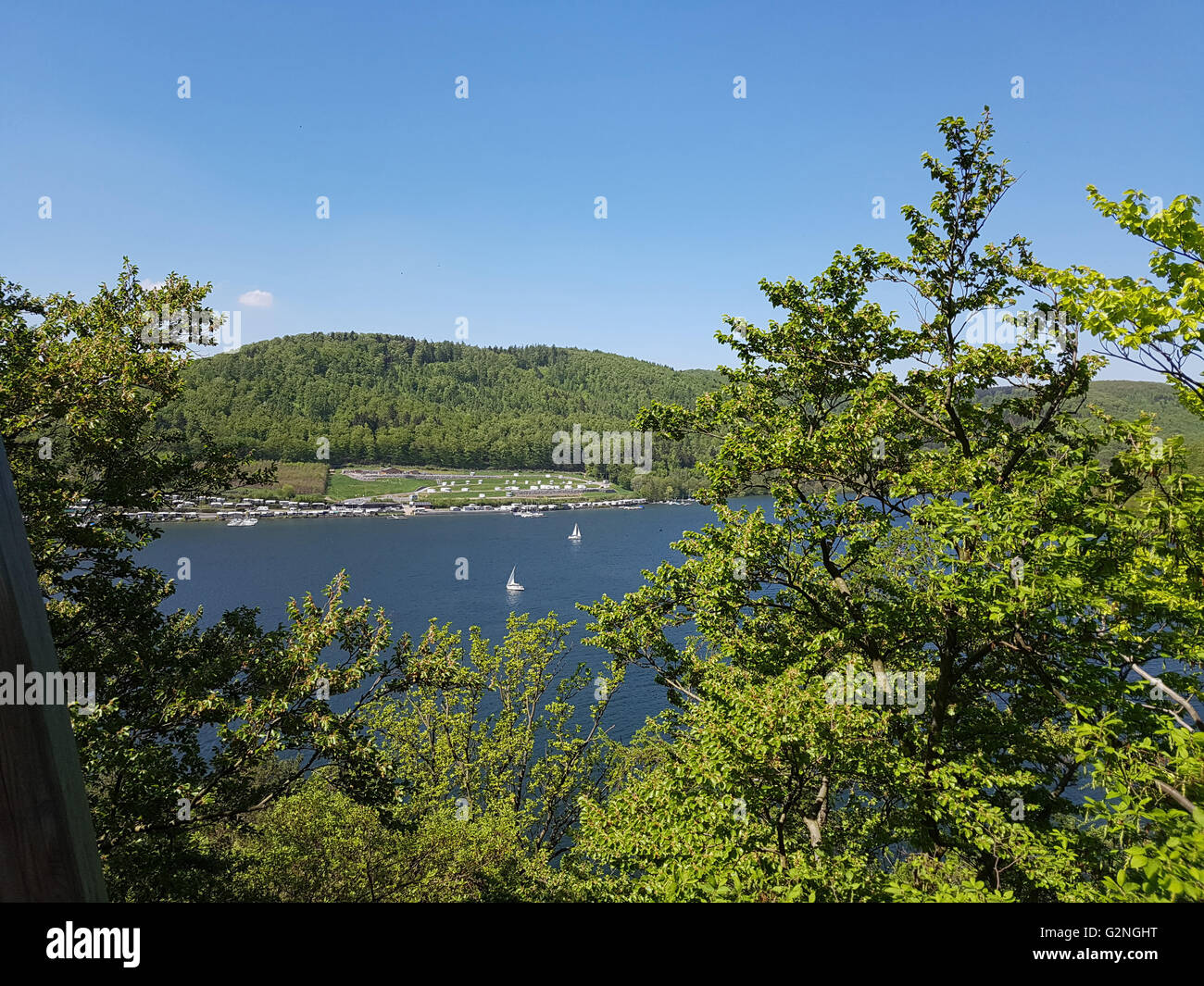Natur im wald hi-res stock photography and images - Alamy