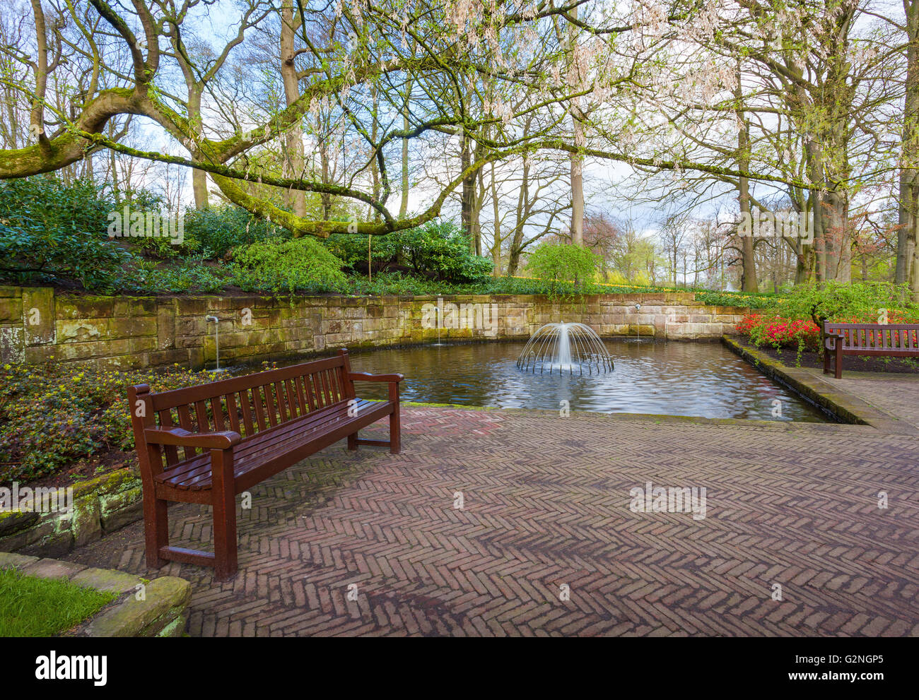 Wooden bench in Keukenhof park in Netherlands. Landscape with blooming ...