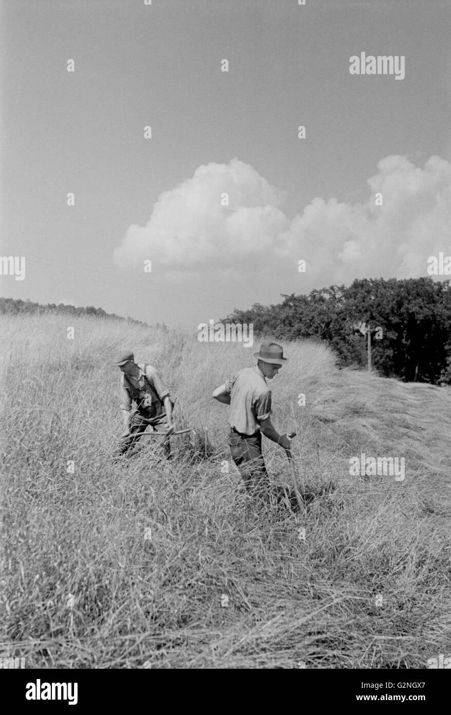 Farm workers 1930s hi-res stock photography and images - Alamy